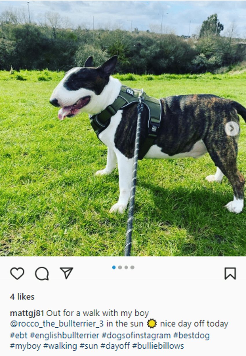 100 Instagram Captions For Your Day Off [2022] - Starter Story