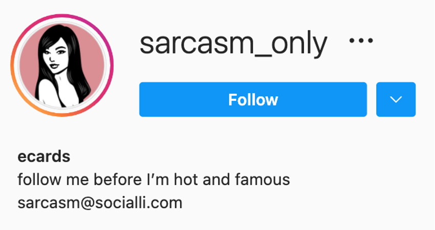 240 Funny Meme Instagram Bios - Starter Story