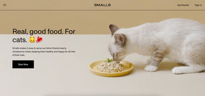 PAS Copywriting Formula Explained [With Real Examples] - Starter Story