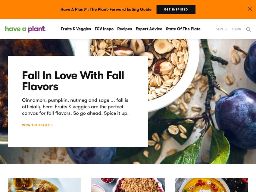 41 Healthy Food Business Ideas You Can Start Today [2022] - Starter