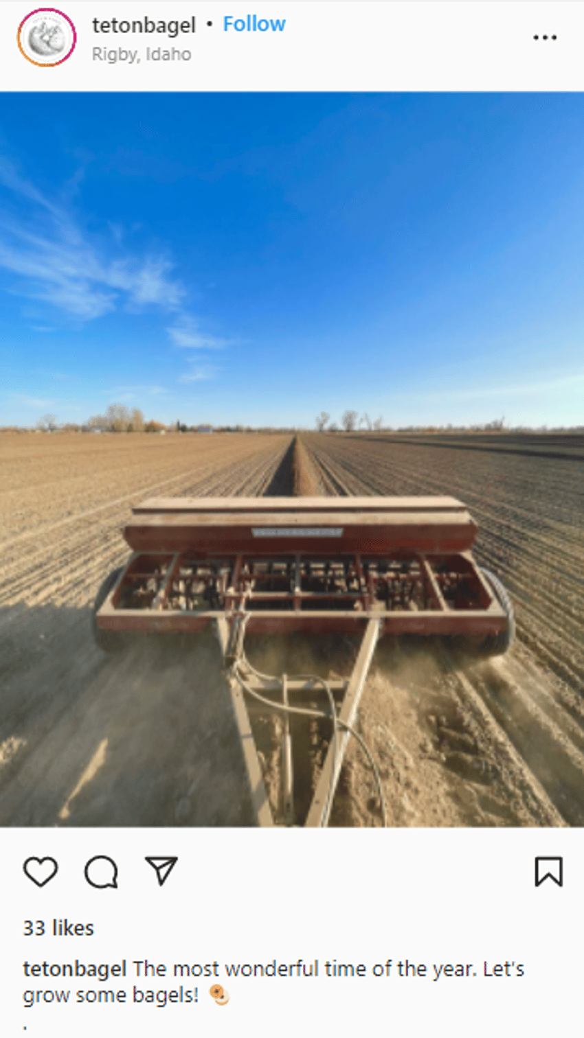 250+ Best Farm Captions & Quotes For Instagram [2022] - Starter Story