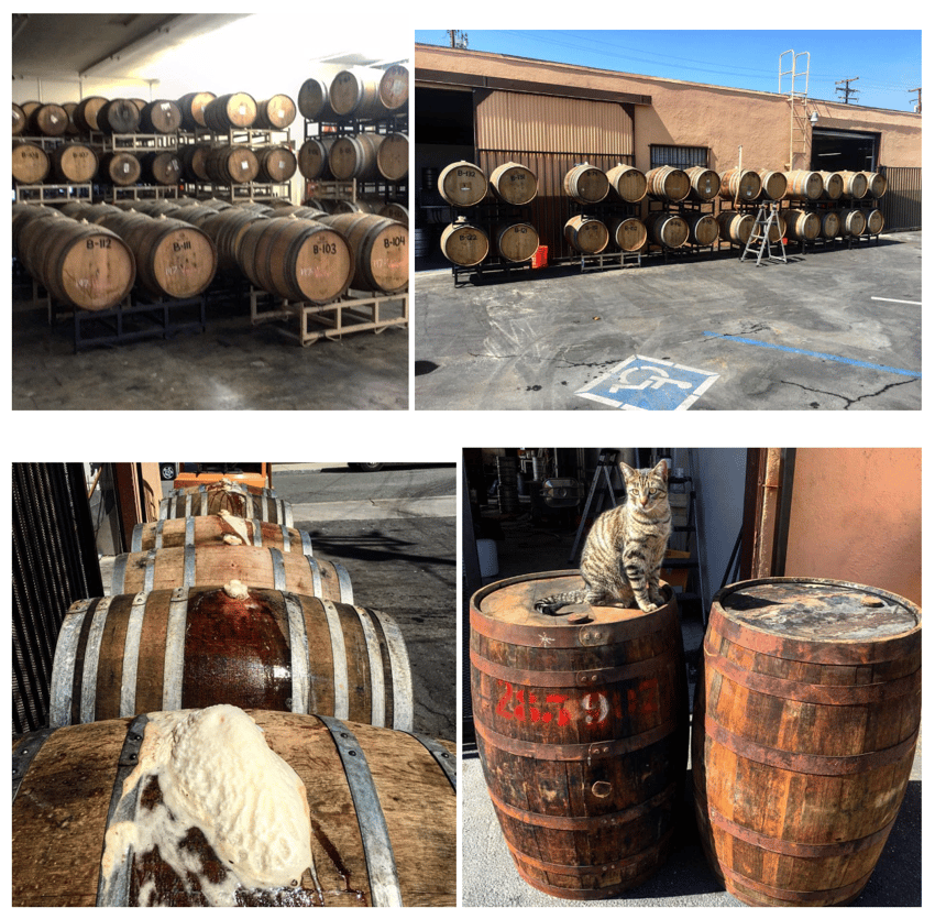 How This Entrepreneur Started A $2M Craft Brewery - Starter Story