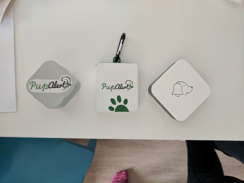 How I Created And Launched A Fitbit For Dogs - Starter Story