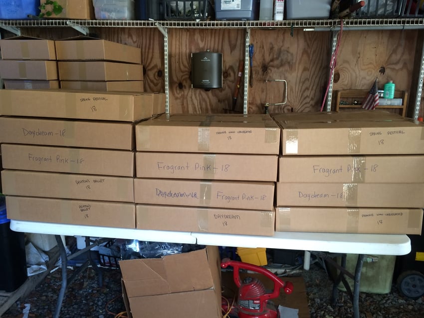 How We Expanded Our Local Plant Nursery To An Online Business