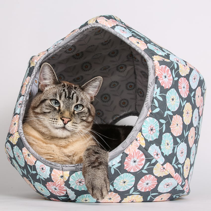 On Creating Modern Cat Bed Designs - Starter Story
