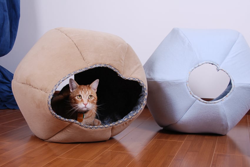 On Creating Modern Cat Bed Designs - Starter Story