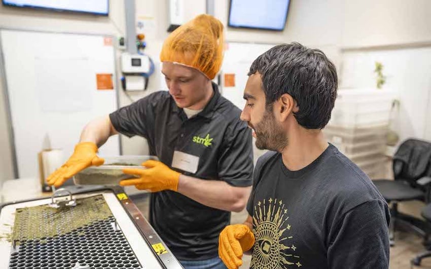 How We Built $35M Plant Growing Empire GrowersHouse - Starter Story