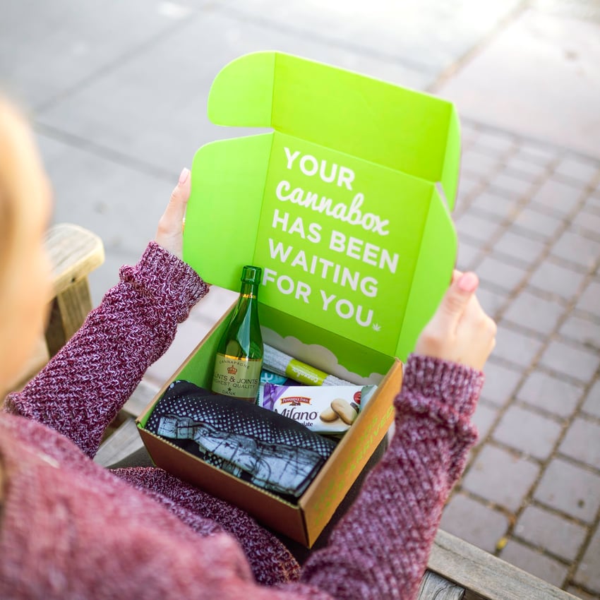 How I Started A $350K/Month Cannabis Subscription Box - Starter Story